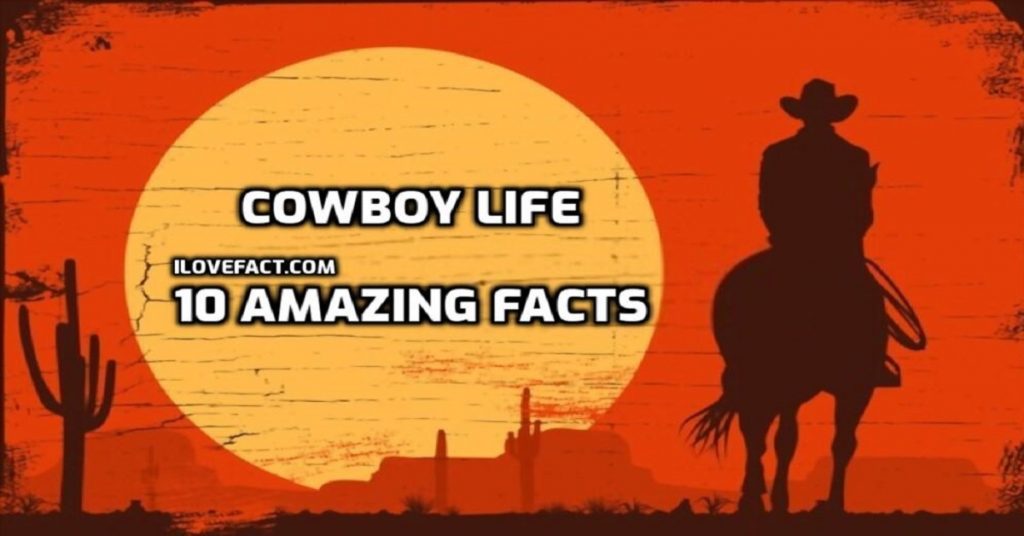 10 Amazing Facts About Cowboy Life You Probably Didn't Know - I Love Facts